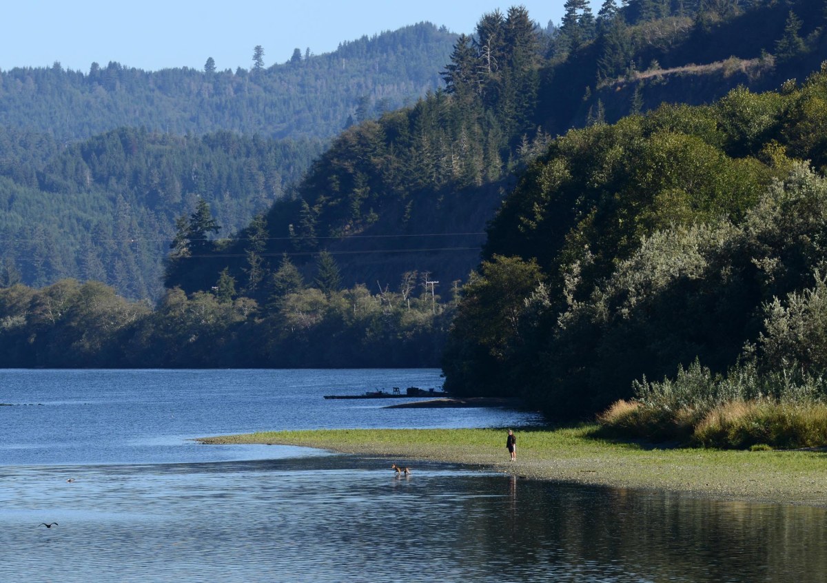 The Dogs of Klamath III – Gardens For Goldens