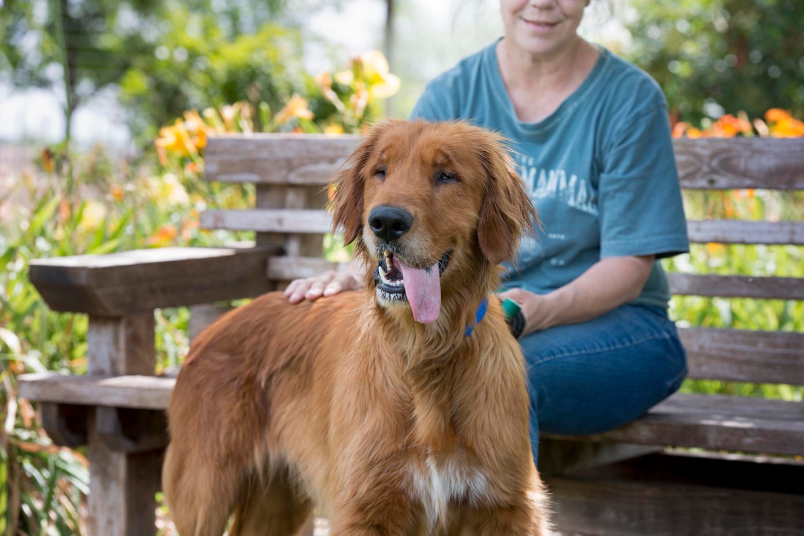 Of Diamonds and Pebbles – Gardens For Goldens